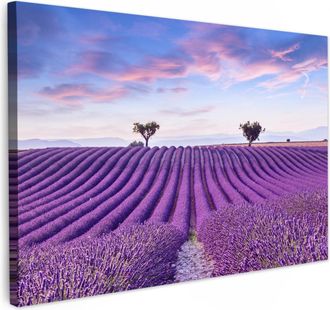 MuchoWow © Wandbilder Groß 120x80 cm XXL Schlafzimmer Home Deko Wohnung Bild Wohnzimmer Fotoleinwand Wand Bilder Leinwand Wall Decor Lavendel - Natur - Lila - 