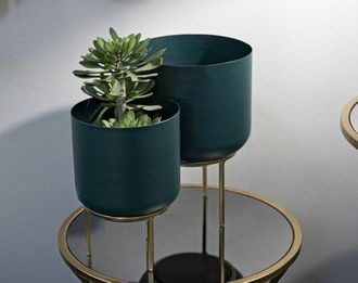 Dmora Waiau Gr&uuml;n Deko, Goldstruktur