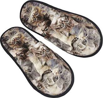 Generic Chaussons Femme Homme Chat Brun Blanc Chausson DHiver Chaude Maison Pantoufles Confort Pantoufles En Peluche Pour Voyager Int&eacute;rieur Ext&eacute;rieur M