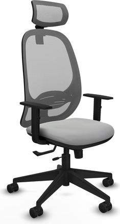 Piqueras y Crespo Cilanco Arbeitsbankstuhl mit 1D-Armen, h&ouml;henverstellbare Lendenwirbelst&uuml;tze und Kopfteil, h&ouml;henverstellbar und neigbar, Grau/Hellgrau