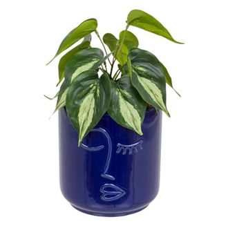 Atmosphera Atmosphera - Plante Artificielle soleya h30cm Bleu Marine