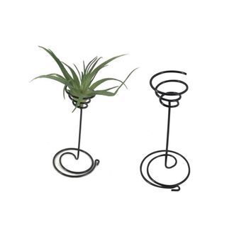 Supvox Eisen Blumenst&auml;nder Air Ananas Halterung Klein Rostfreier Stahl Blumentopf Pr&auml;sentationsst&auml;nder F&uuml;r B&uuml;ro Wohnraum Terrassengarten