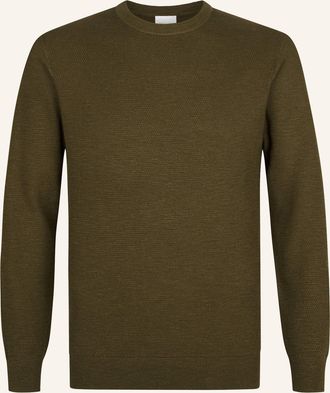 Profuomo Profuomo Herren Pullover gruen