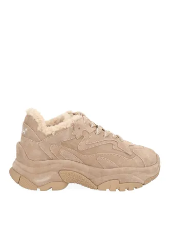 Ash Sneaker - Braun