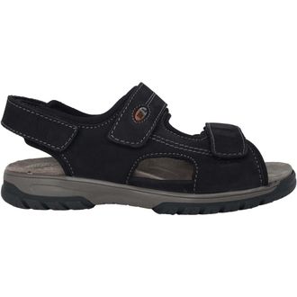 Waldl&auml;ufer Harald