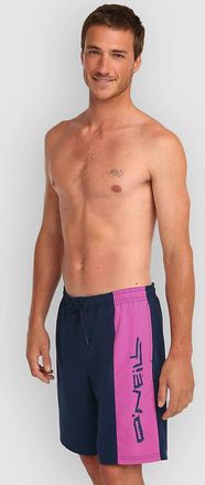 O'Neill Retro 19 Boardshorts english evening c b