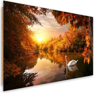 Feeby Deco Panel 120x80 cm Herbst Wald Sonnenuntergang B&auml;ume 1 tlg Modern Bilder Wandbilder Dekopanel Kunstdruck Wand Bild Wohnzimmer Jungezimmer B&uuml;ro Natur