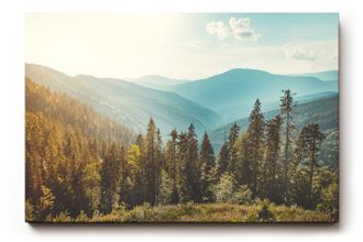 Paul Sinus Art Sinus Art Wandbild 120x80cm Weiche Hügelketten mit bewaldeten Flanken im Sonnenlicht für ruhige Raumatmosphäre