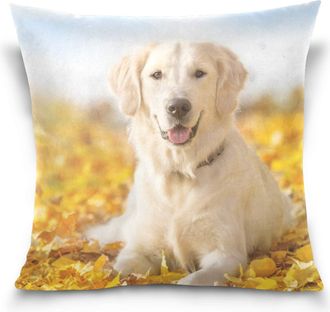 PUXUQU Kissenbezug 40x40 cm Süß Golden Retriever Hund Dekorative quadratische Kissenbezüge Kissenhülle für Couch Sofa Schlafzimmer Auto
