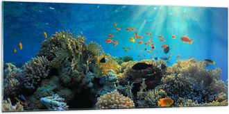 Arttor Wandbilder Dekoration Wohnzimmer Korallenriff Ozean Maritim Panorama Bilder auf Glas 120x50cm Glasbild Schlafzimmer Küche Wand Kunstdruck Art Groß Wan