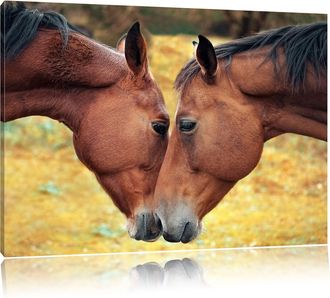 Pixxprint zwei schmusende Pferde, Größe: 80x60cm, Leinwandbild, fertig gespannt, Wandbild, Dekoration, Kunstdruck, kein Poster