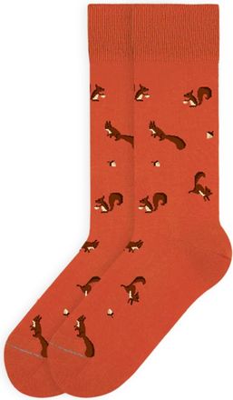 Von Jungfeld Socken Eichhörnchen Icon