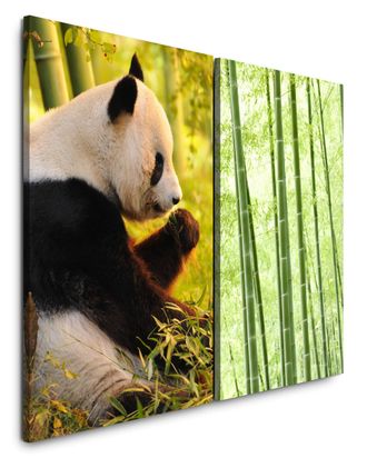 Paul Sinus Art Leinwandbilder 2 St&uuml;ck je 40x60cm Panda Bambus Wald Asien
