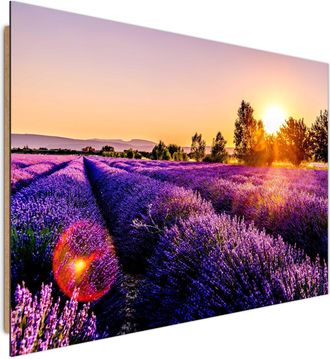 Feeby Wandbilder - 1 Teilig- 30x40 cm - Bilder Kunstdrucke Deko Panel, Wiese, Lavendel, Natur, VIOLETT
