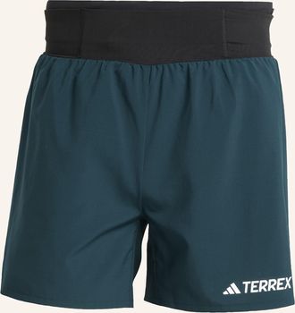 ADIDAS TERREX Adidas Terrex Trekking-Shorts Xperior gruen