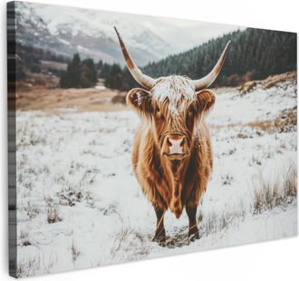 MuchoWow © Wandbilder Groß 120x80 cm XXL Schlafzimmer Home Deko Wohnung Bild Wohnzimmer Fotoleinwand Wand Bilder Leinwand Wall Decor Schottische Hochlandrind -