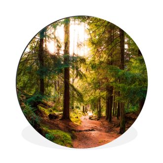 MuchoWow Wandbild Rund Wanddeko Deko Wohnzimmer Bilder 90x90 cm Wald - Weg - B&auml;ume - Gr&uuml;n - Sonne - Natur