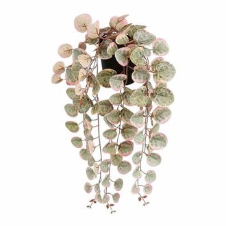 Mica Mica Decorations Plante d&eacute;corative Ceropegia Woodii 10 x 46 x 12 cm Artificielle &agrave; Suspendre