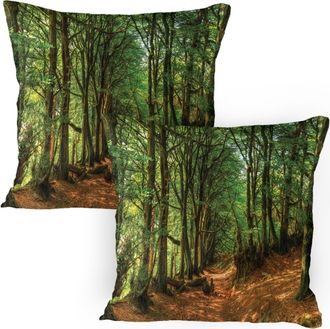 Abakuhaus Wald Kissenbezug Packung mit 2, Waldszene Mit B&auml;umen Und Weg Laub Stamm Gr&uuml;n Bild Im Freien, Dekorativer Standard Gedruckter Kissenbezug, 80 x 80 cm, 