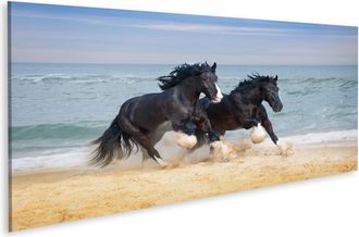 Islandburner Bild auf Leinwand Zwei Schöne Große Pferde Züchten Shire Galopp Entlang Dem Strand Der Sand Gegen Das Blaue Meer Aufhebt Wandbild Poster Kunstdruck Bi