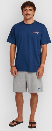 O'Neill Essentials 90S Sweat Shorts silver melee