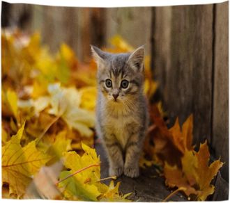 A.Monamour Wandteppiche Wanddekor Süße Kätzchen Katze Im Herbstwald Gelbe Abgefallene Blätter Bild Stoff Wandtuch Wandbehang Wandkunst Wandbilder für Schlafzimme