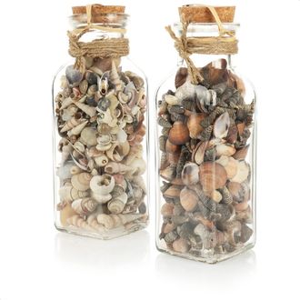 Com-Four 2x Deko-Muscheln - Glasflasche gefüllt mit schönen Muscheln - maritime Dekoartikel im Glas für Meeresfeeling [Auswahl variiert] (2 Flaschen - braun)