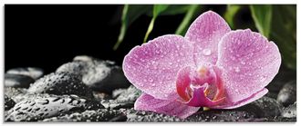 Artland ARTland Wanddeko Glasbilder Wandbild Glas Bild einteilig 125x50 cm Querformat Natur Asien Botanik Blumen Orchidee Steine Zen Entspannung Pink T5OQ