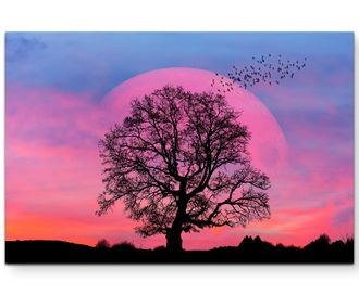Paul Sinus Art Leinwandbilder | Bilder Leinwand 120x80cm Super Mond hinterm Baum