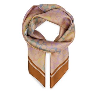 Coach Tuch Coach 29CDL33 Beige