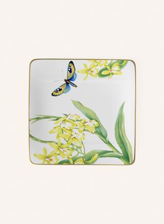 Villeroy & Boch Fr&uuml;hst&uuml;cks-/Dessertteller Amazonia weiss