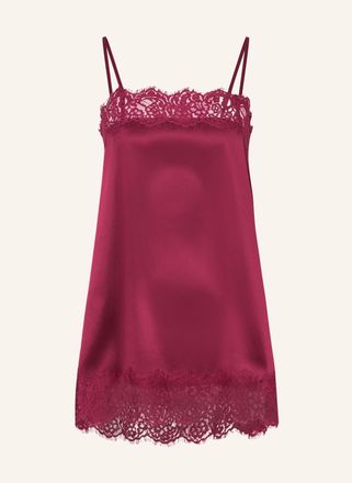 Darling Harbour Darling Harbour Satintop Mit Spitze rot