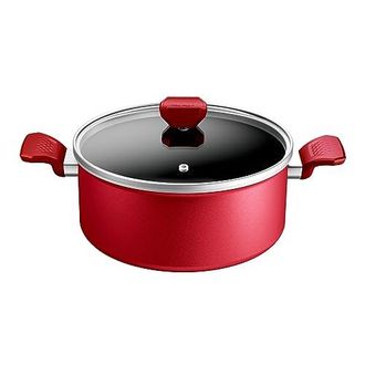 T-fal Faitout 24 cm, Induction, Rev&ecirc;tement antiadh&eacute;sif, Indicateur de temp&eacute;rature, Couvercle en verre, Poign&eacute;e confortable, Repas d&eacute;licieux et sains, Fabriq