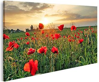 Islandburner Tableau sur Toile Coucher de Soleil de Fleurs de Champ de Coquelicots Cadre Affiche Poster Murale Tableaux