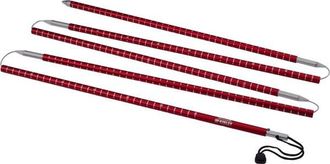 McKinley Lawinensonde