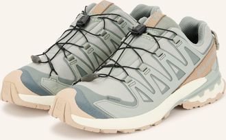 Salomon Trailrunning-Schuhe Xa Pro 3d v9 Gtx Lifelong beige