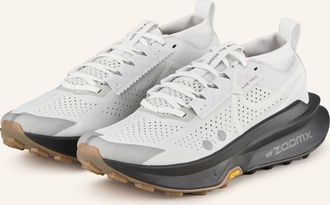 Nike Trailrunning-Schuhe Zegama Trail 2 grau