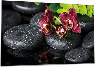 Wallario Herdabdeckplatte/Spritzschutz aus Glas, 1-teilig, 90x52cm, f&uuml;r Ceran- und Induktionsherde, Dunkelrote Orchideen-Bl&uuml;te auf schwarzen Steinen mit Regent