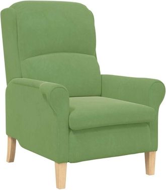 vidaXL fauteuil Vert clair 76 x 94 x 102 cm Velours vidaXL