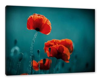 Pixxprint Mohnblumen auf Einer Wiese in der Nacht, Gr&ouml;&szlig;e: 120x80cm, Leinwandbild, fertig gespannt, Wandbild, Dekoration, Kunstdruck, kein Poster