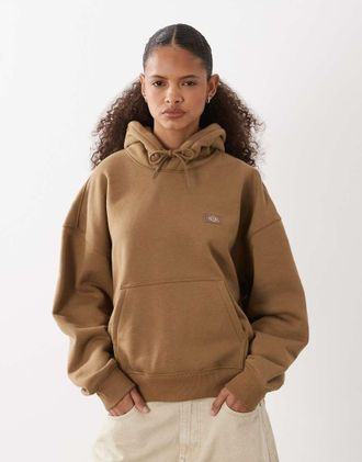 Dickies Oakport - Kapuzenpullover in Braun
