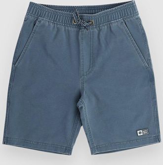 Salty Crew Seadog Volley Kids Boardshort bleu