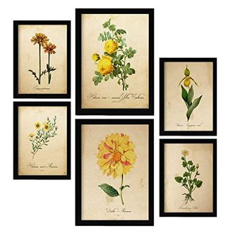 Nacnic Fleurs Jaunes Affiches. Illustrations Nature et Botanique en Couleur avec des Th&egrave;mes Floraux dans un Style de Papier Vintage. Design dint&eacute;rieur et d&eacute;c