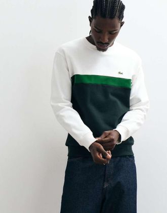 Lacoste Colourblock-Sweatshirt in Gr&uuml;n