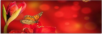 Paul Sinus Art Panoramabild auf Leinwand und Keilrahmen 150x50cm Gerbera Blüte rot Schmetterlinge