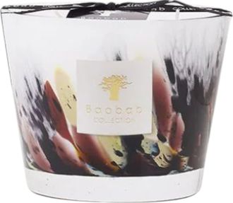 Baobab Handgeblasene Duftkerze aus Glas, Regenwald-Tanjung, inspiriert vom Tanjung-Nationalpark, Borneo, Galbanum, Gaiac-Holz, zerknittertes Blatt (max. 10)