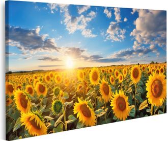 Islandburner Bild auf Leinwand Feld Blühende Sonnenblumen Sonnenuntergang Bilder Wandbilder Poster JDVD-1P