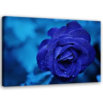 Feeby Bild auf Leinwand Rose Kunstdruck modern f&uuml;r Wohnzimmer Blau 40x30 cm