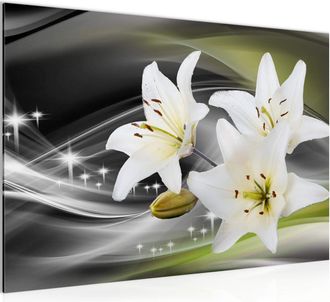 Runa Art Bild Blumen Lilien Modern Wandbilder Wohnzimmer 1 Teilig - Made In Germany - Abstrakt Grau Gr&uuml;n Flur 204915c