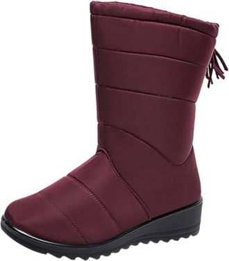Soimiss Femme Chaudes -mollet à Semelle Épaisse Bottines de Neige Stylées avec Fourrure Intérieure Bottines Tassel Hiver Imperméables et Confortables pour Sai